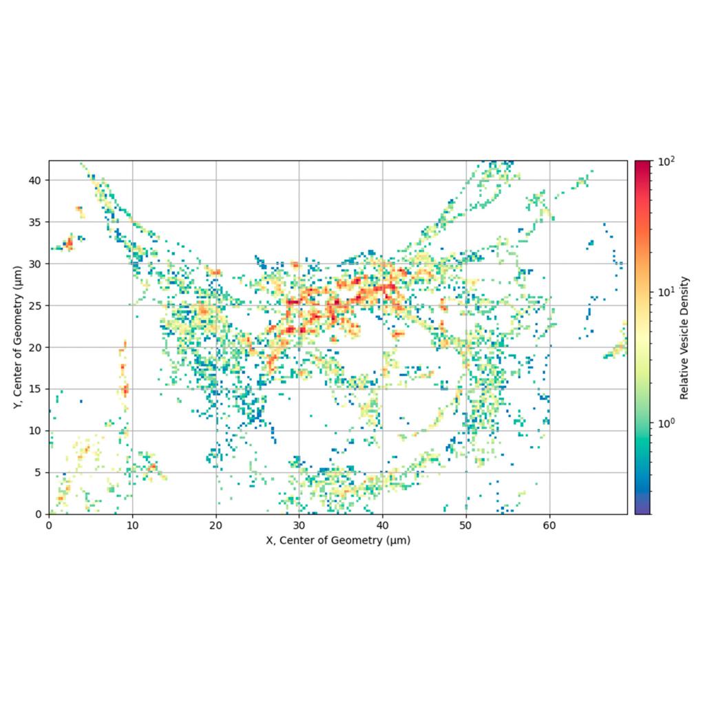 From Image to Results | Vesicle Trafficking | ZEISS