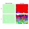AI in Microscopy: Deep Learning for Image Analysis | ZEISS