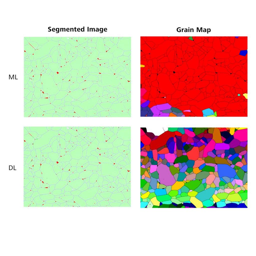 AI in Microscopy: Deep Learning for Image Analysis | ZEISS