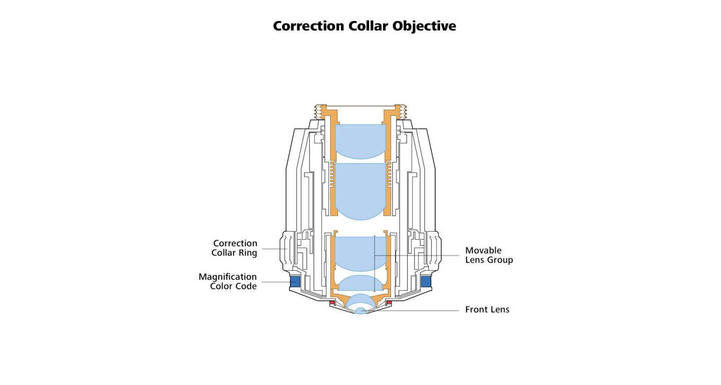 Correcting Cover Glass Thickness for Better Images | ZEISS
