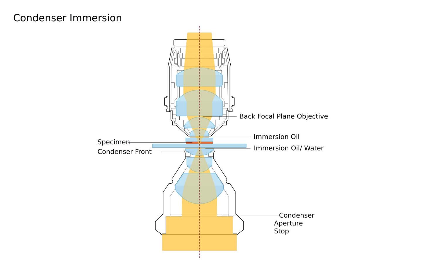 The Condenser – Its Use, Types and Applications | ZEISS