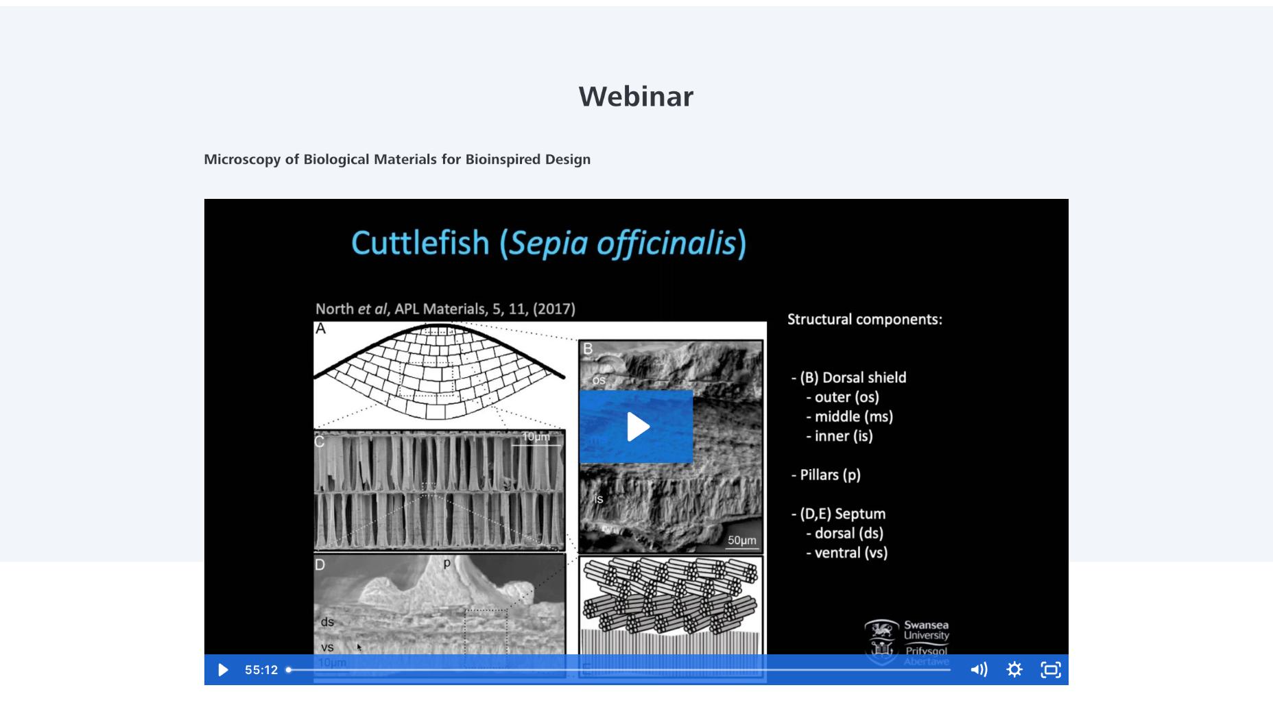 Microscopy of Biological Materials for Bioinspired Design | ZEISS
