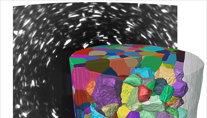 Expanding 3D Nondestructive X-ray Microscopy Through Laboratory ...