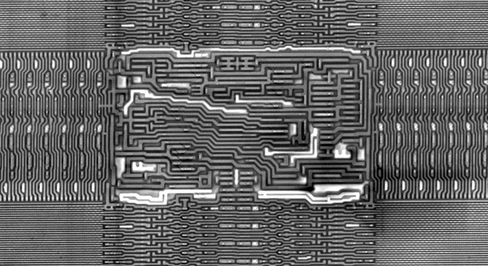 Voltage Contrast in Microelectronic Engineering | ZEISS