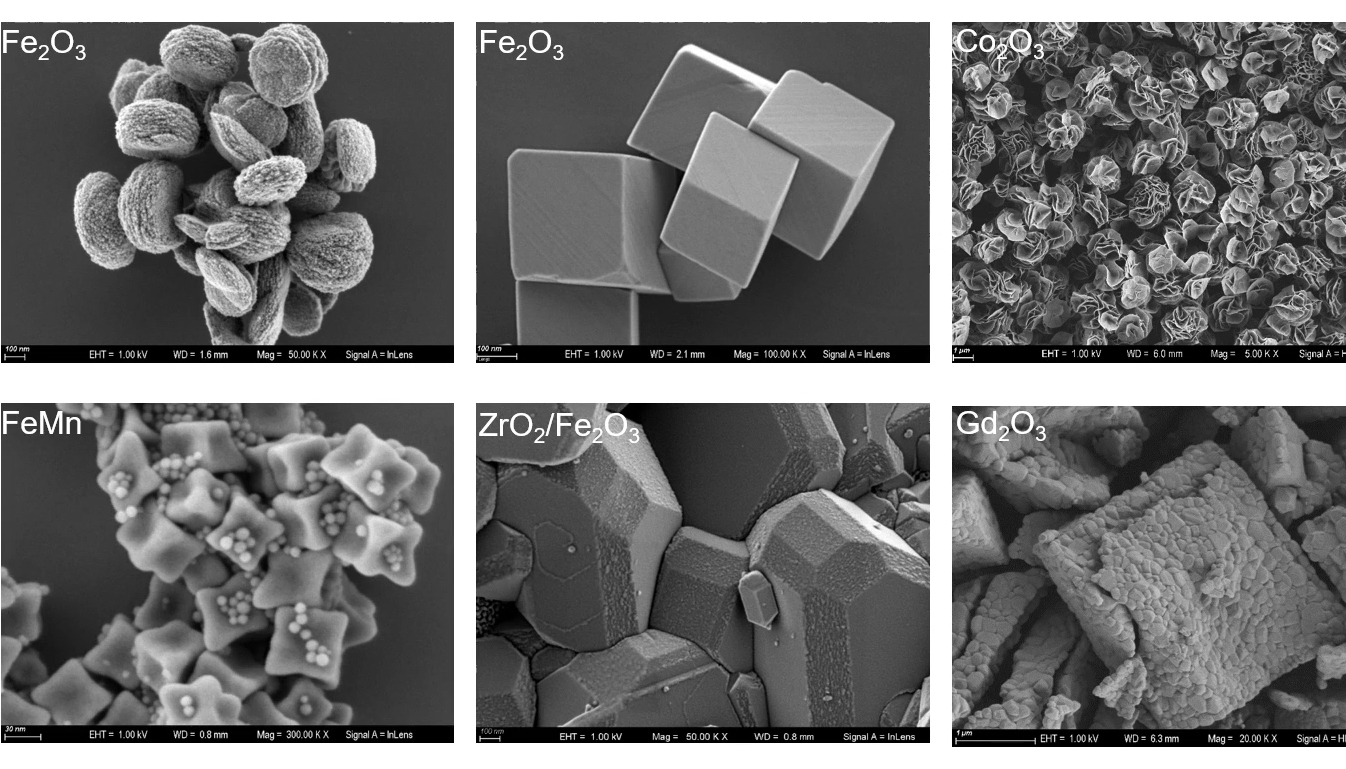 Imaging Magnetic Samples Using ZEISS FE-SEM | ZEISS