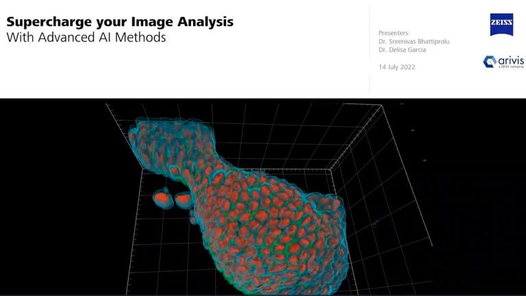 Supercharge Image analysis with Advanced AI Methods | ZEISS