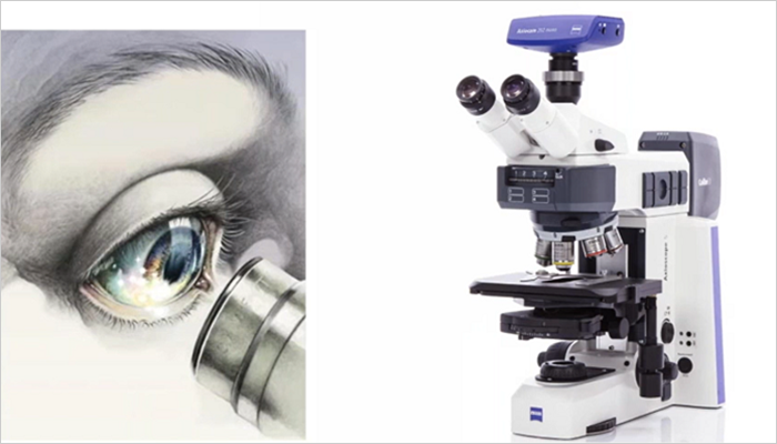 Master Light Microscopy Basics and Fundamental Concepts | ZEISS