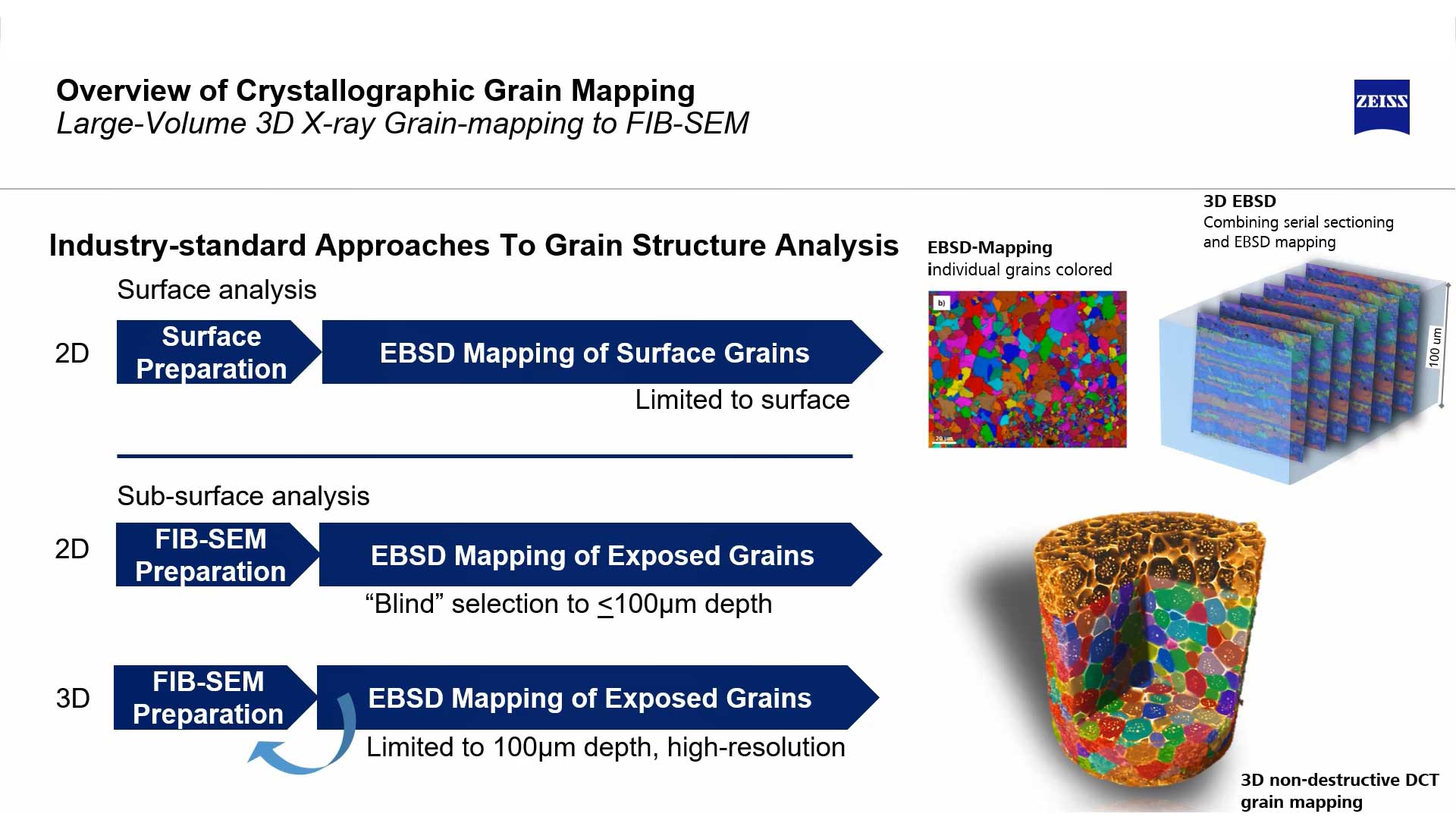 The Pivotal Role of FIB-SEM for Emerging New Correlative Workflows | ZEISS