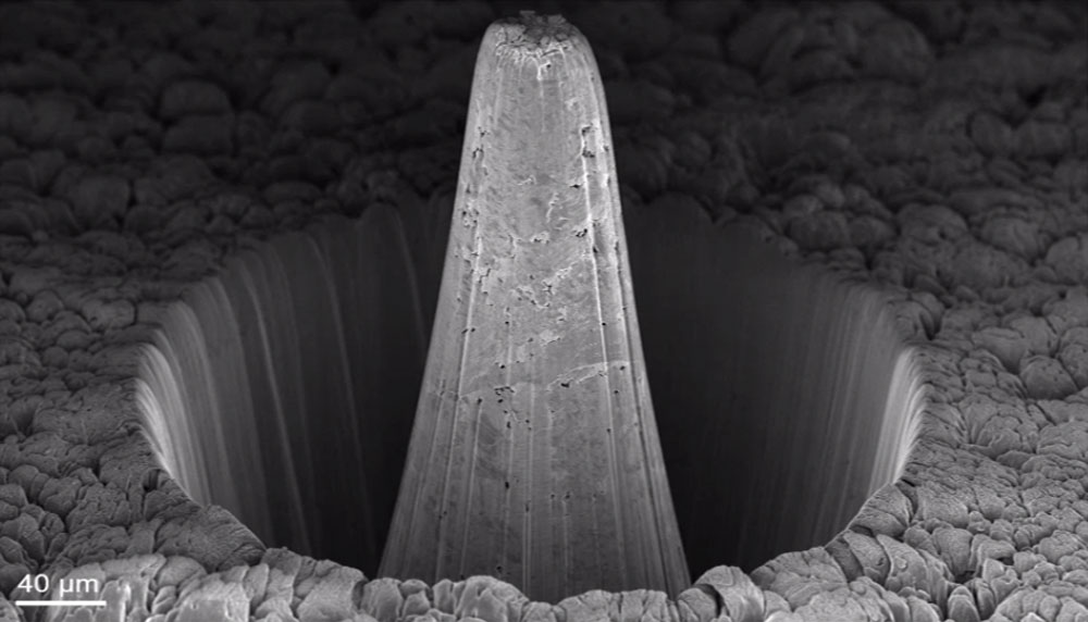 Accelerating Nuclear Energy Research with Advanced Microscopy ...