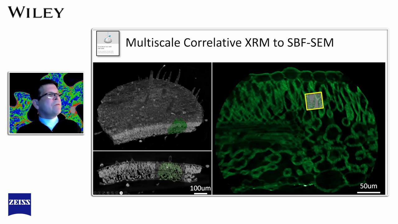 An Introduction To Volume Electron Microscopy