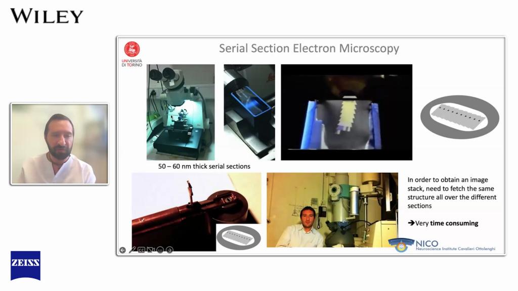 Sample Preparation for Volume EM
