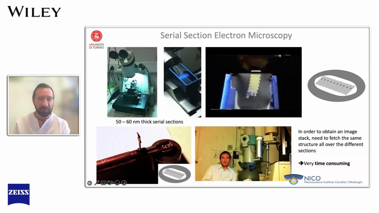 Sample Preparation for Volume EM