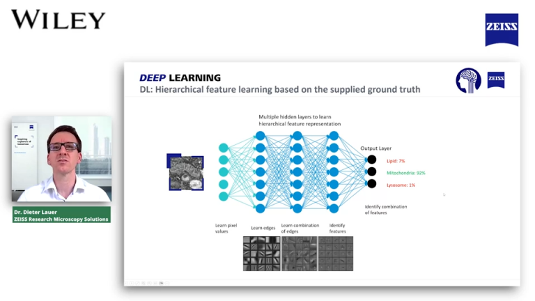 Processing and Visualization of Volume EM Data