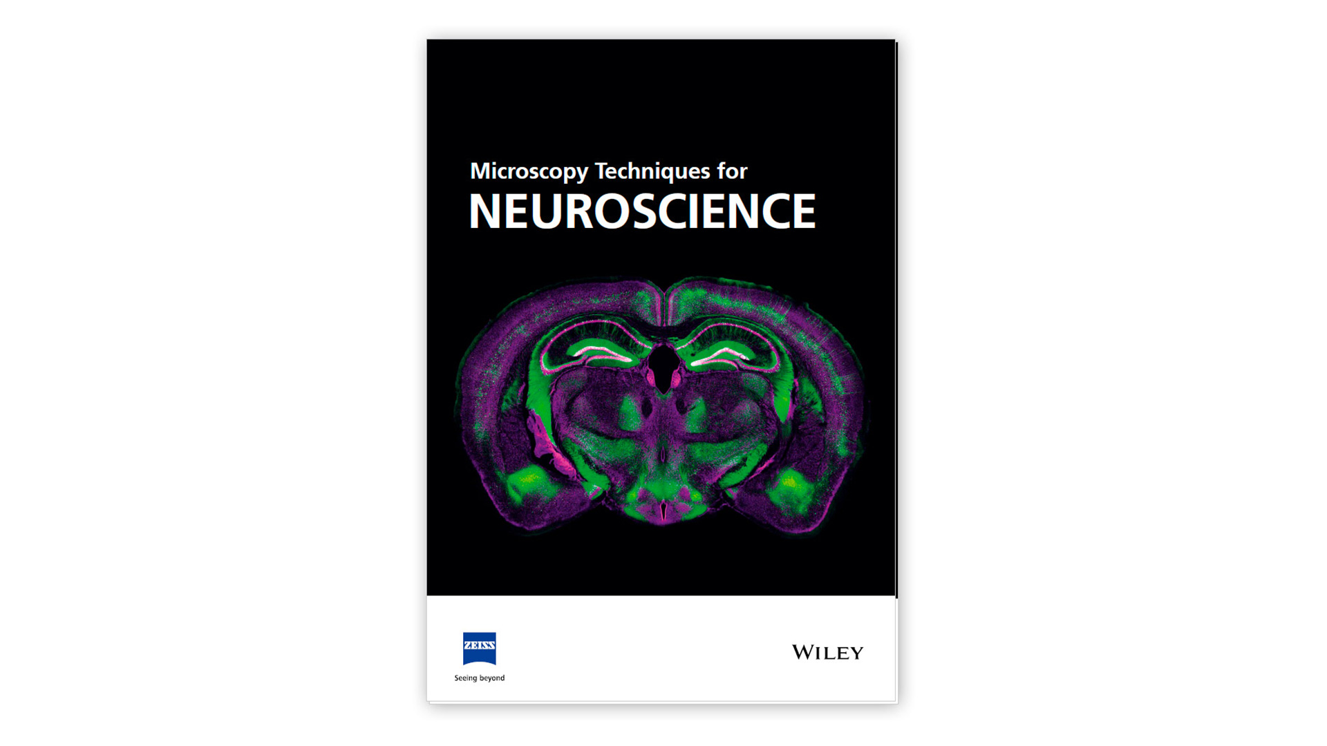 Microscopy Techniques for Neuroscience | Ebook