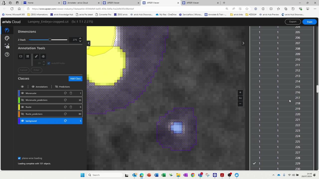ZEISS arivis Pro Webinar | 1: Getting started
