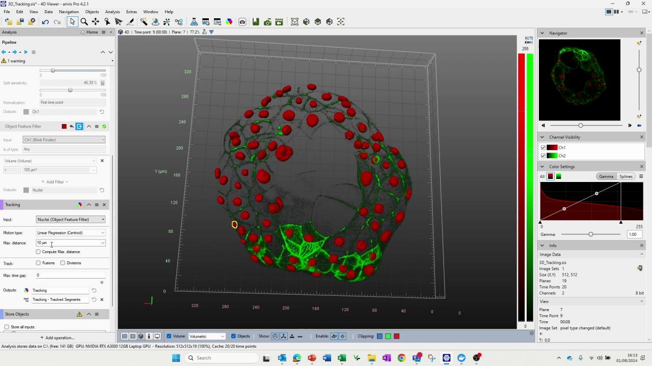 ZEISS arivis Pro Webinar | 1: Getting started