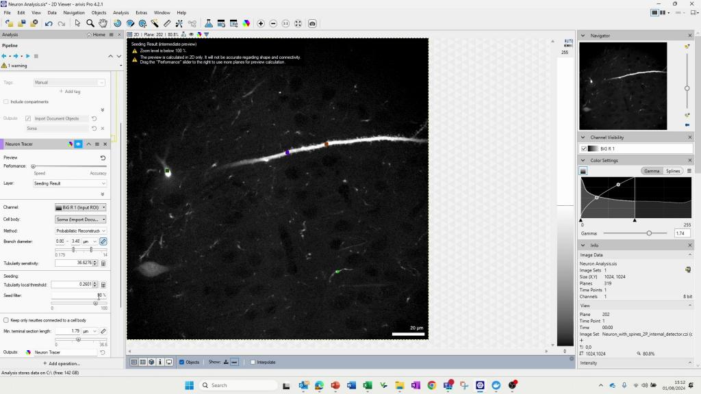 ZEISS arivis Pro Webinar | 1: Getting started