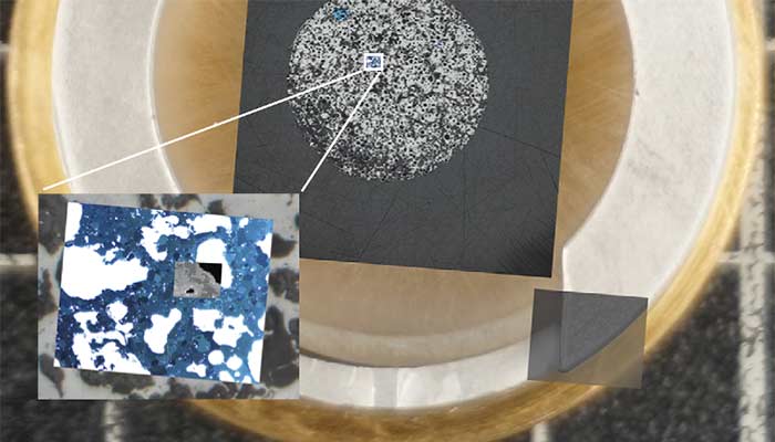 Visualize Images and Data in Context - ZEISS ZEN Connect