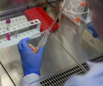 Baking by Recipe? A Look over the Lab Assistant’s Shoulder