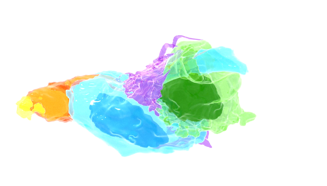 3D Morphology of Tactile Sensory Organs with Volume Electron Microscopy ...