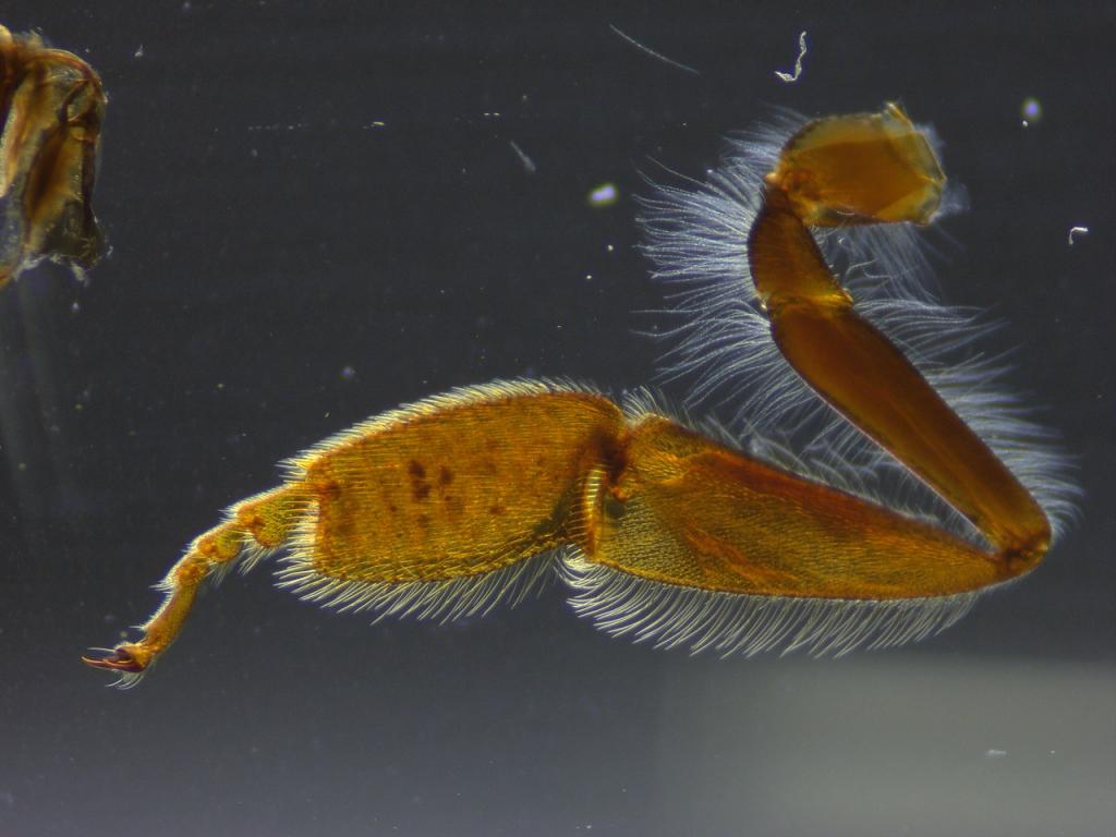 A Digital Teaching Laboratory for Microscopy Focused Education | ZEISS