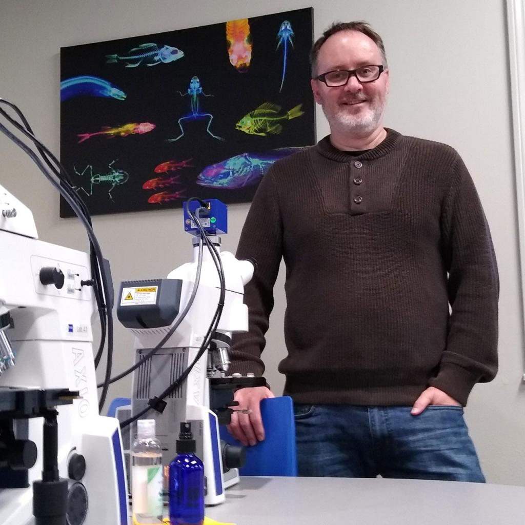 A Digital Teaching Laboratory for Microscopy Focused Education | ZEISS