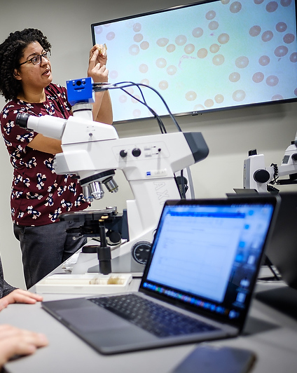 A Digital Teaching Laboratory for Microscopy Focused Education | ZEISS