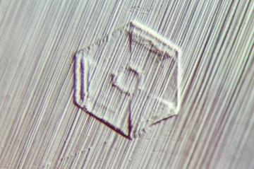 A Look Inside the Microscopic World of Gems | ZEISS