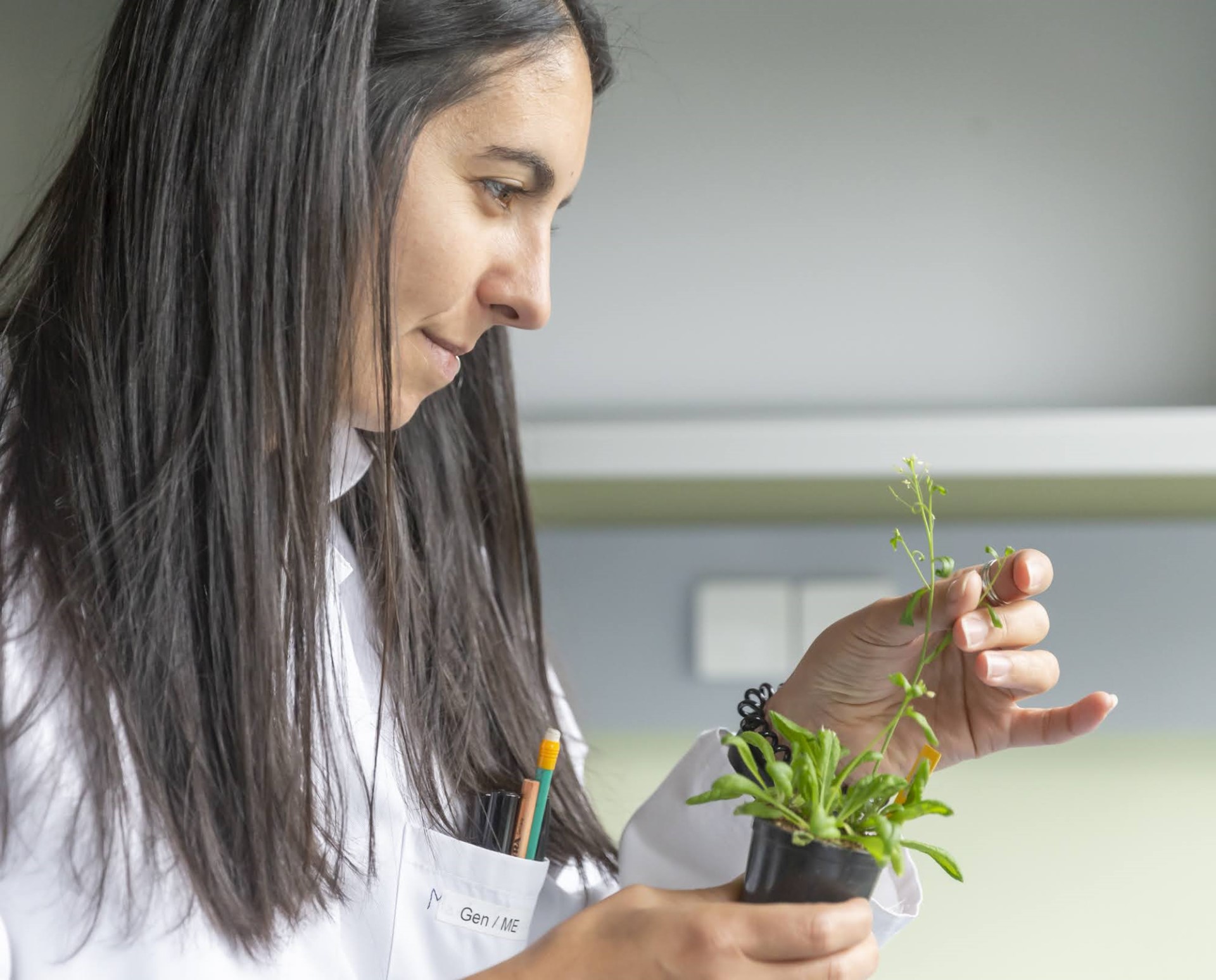 Breeding Research on the Way to a Plant-Based Bioeconomy
