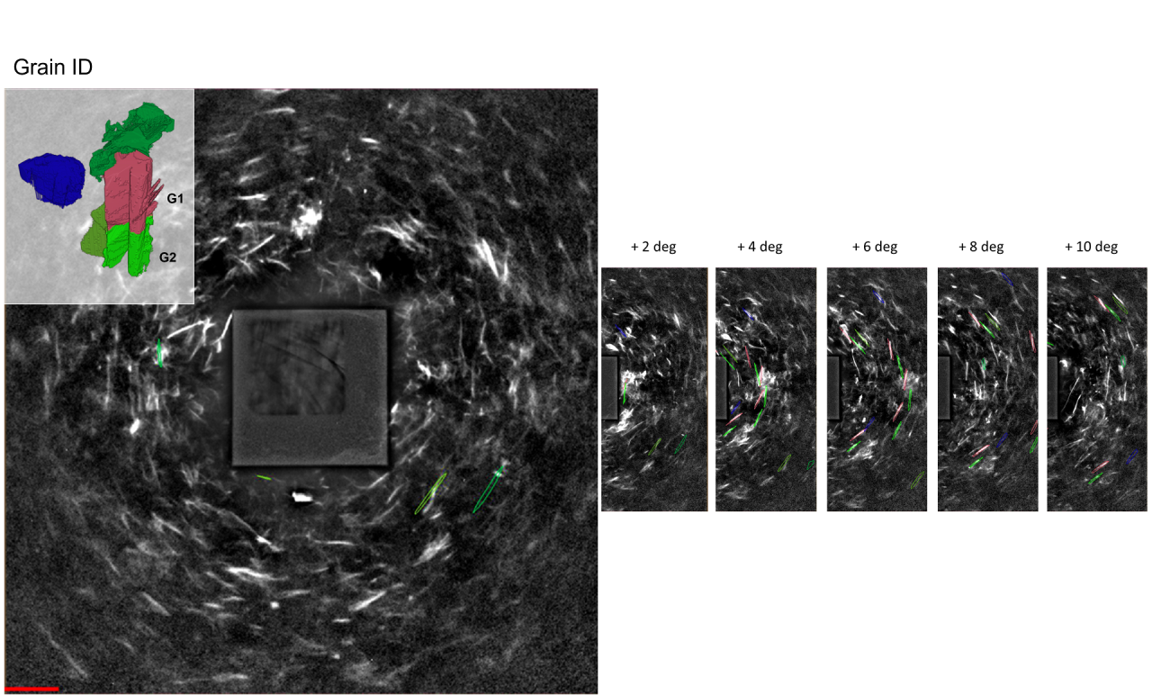 Demystifying The Art Of Novel Material Crystal Growth With Diffraction