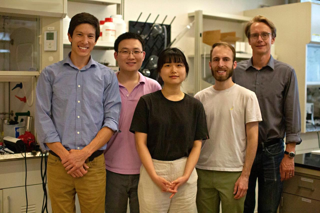 Demystifying the Art of Novel Material Crystal Growth with Diffraction ...