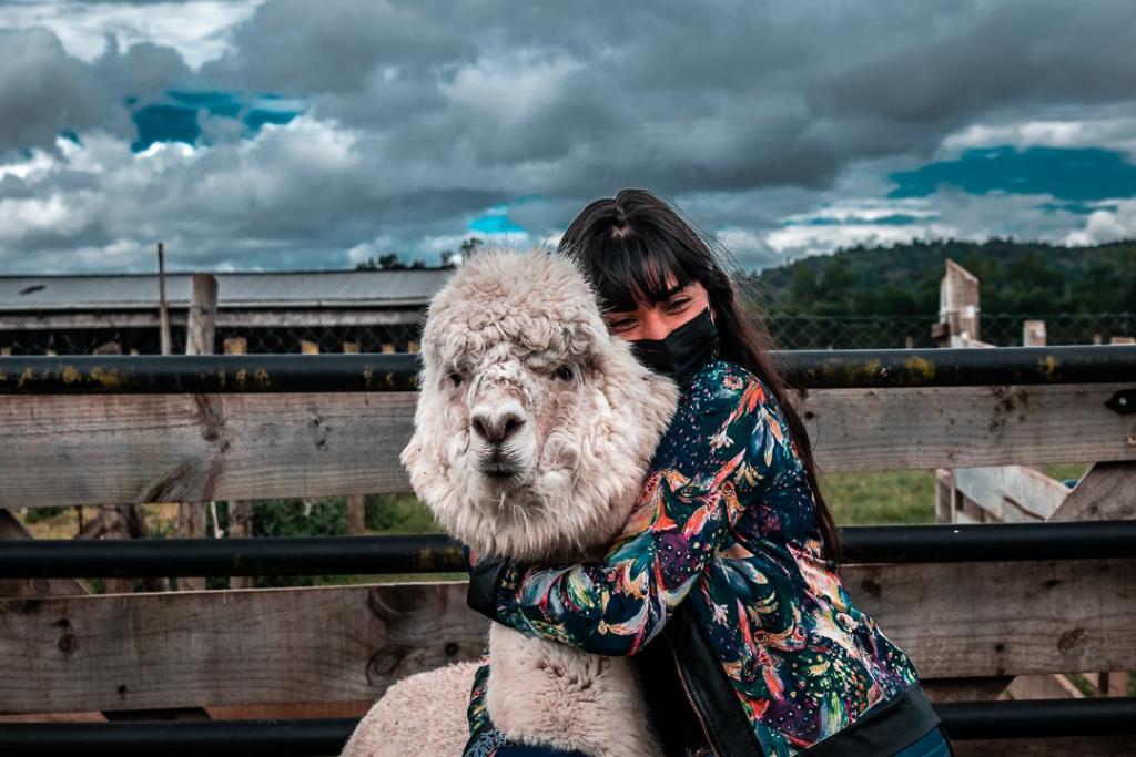 Designing Nanobodies for Viral Pandemics with Alpacas | ZEISS