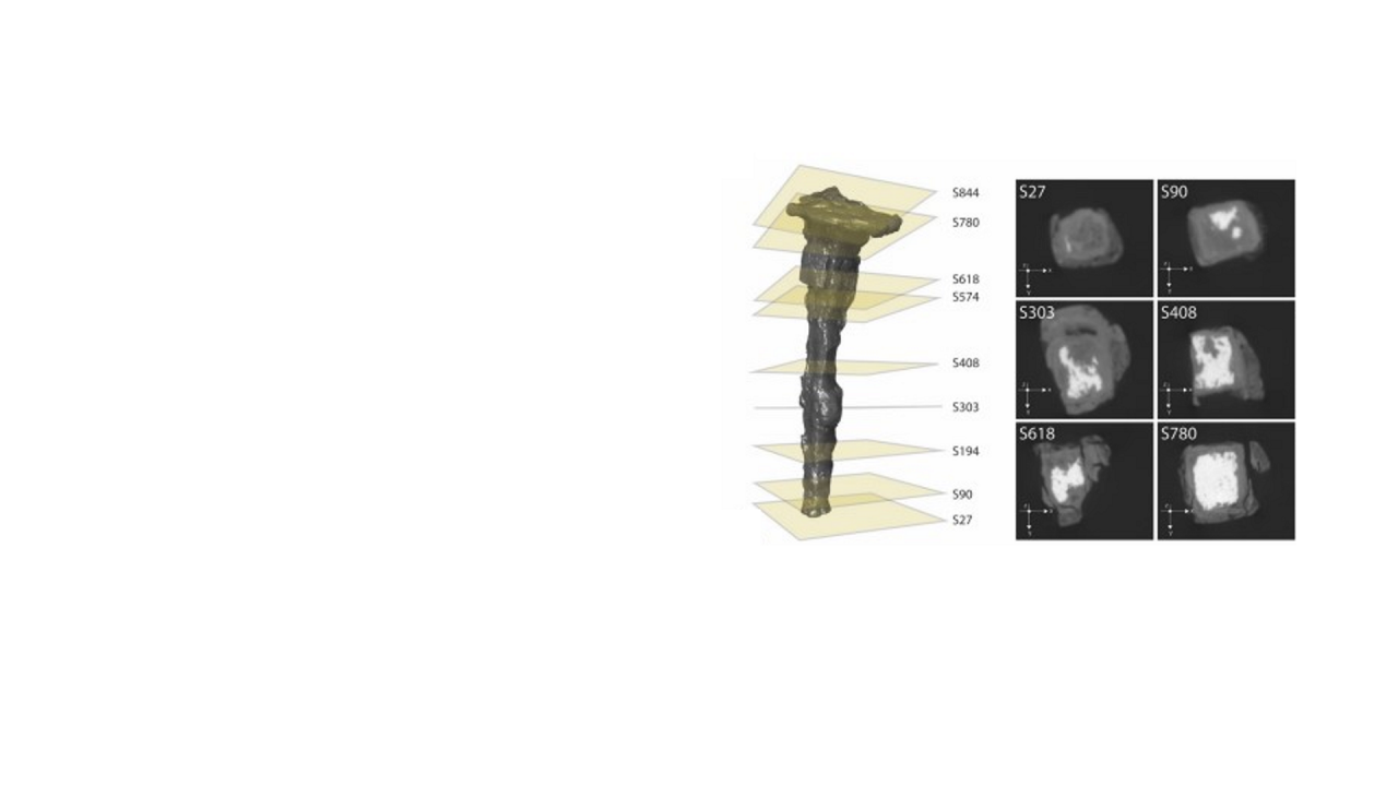 Exploring Corrosion In Iron Nail Artifacts With Multiscale X Ray Microscopy