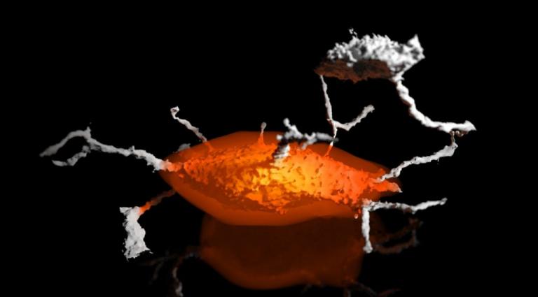 FIB-SEM of Ancient Bones Reveals the Origin of Mineral Metabolism