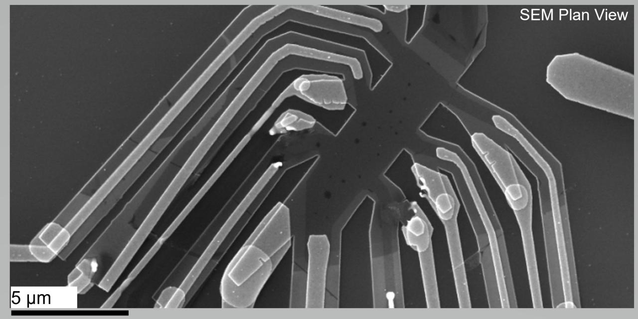 Graphene Research and the Evolution of 2D Nano Materials | ZEISS