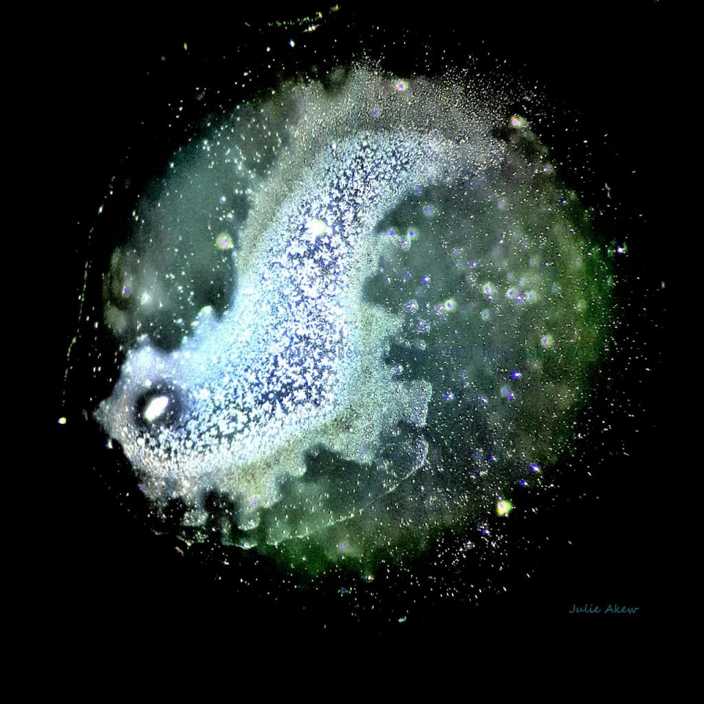 Linking Water Patterns to Water Quality Through Microscopy & Art