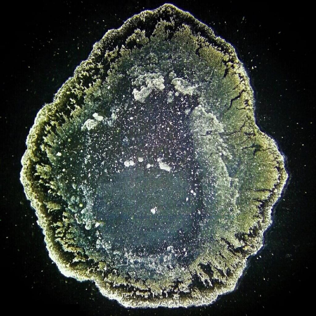 water under microscope 2000x