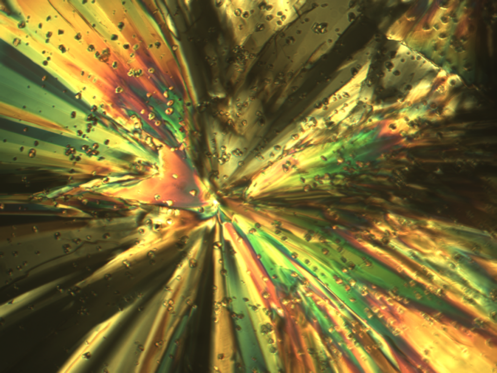 How Microscopy as a Hobby Unlocks Hidden Worlds | ZEISS