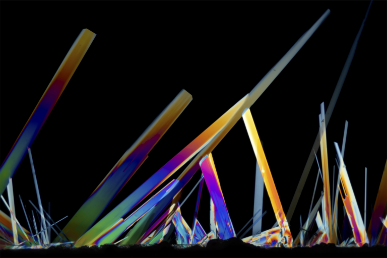 How Microscopy as a Hobby Unlocks Hidden Worlds | ZEISS