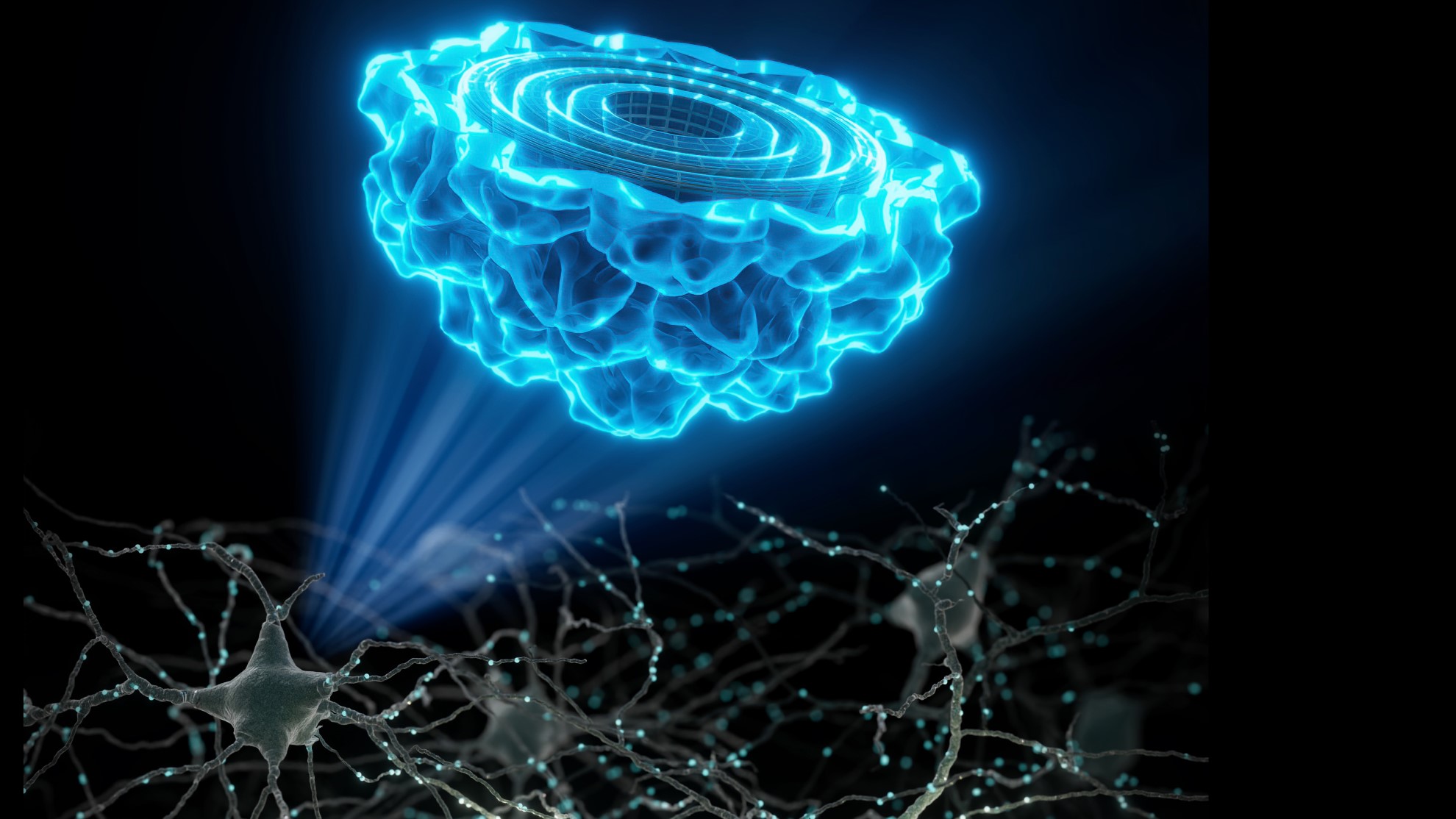 Nano-Reporter Proteins Make Invisible Processes Visible | ZEISS