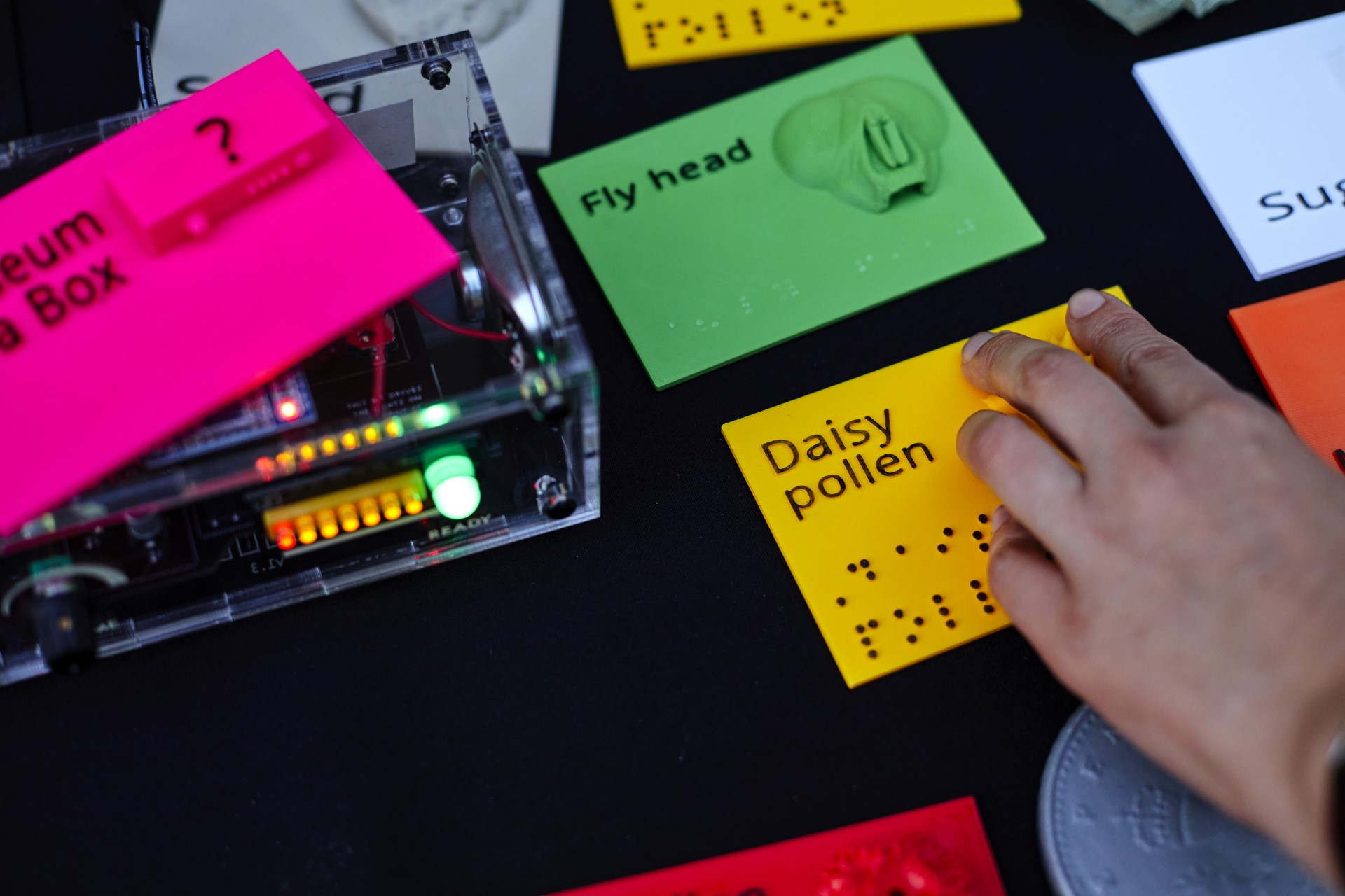 Enriching Museum Experience: 3D Models Bring Science to Life for the ...