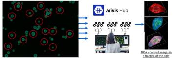 Scalable Image Analysis for Biotech and Pharma | ZEISS