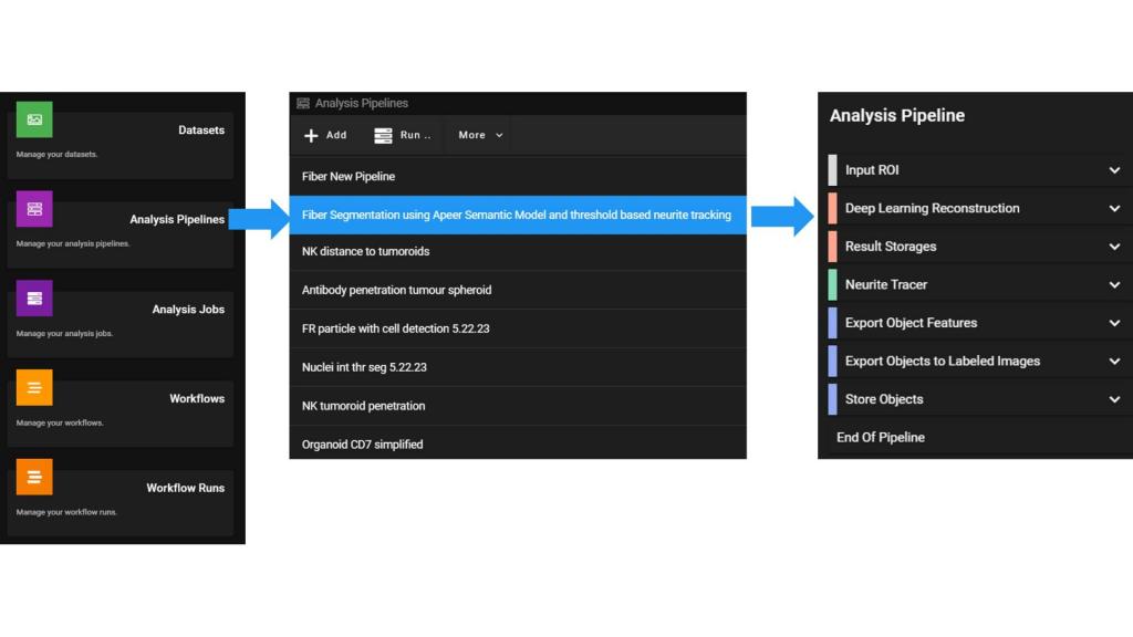 Scalable Image Analysis for Biotech and Pharma | ZEISS