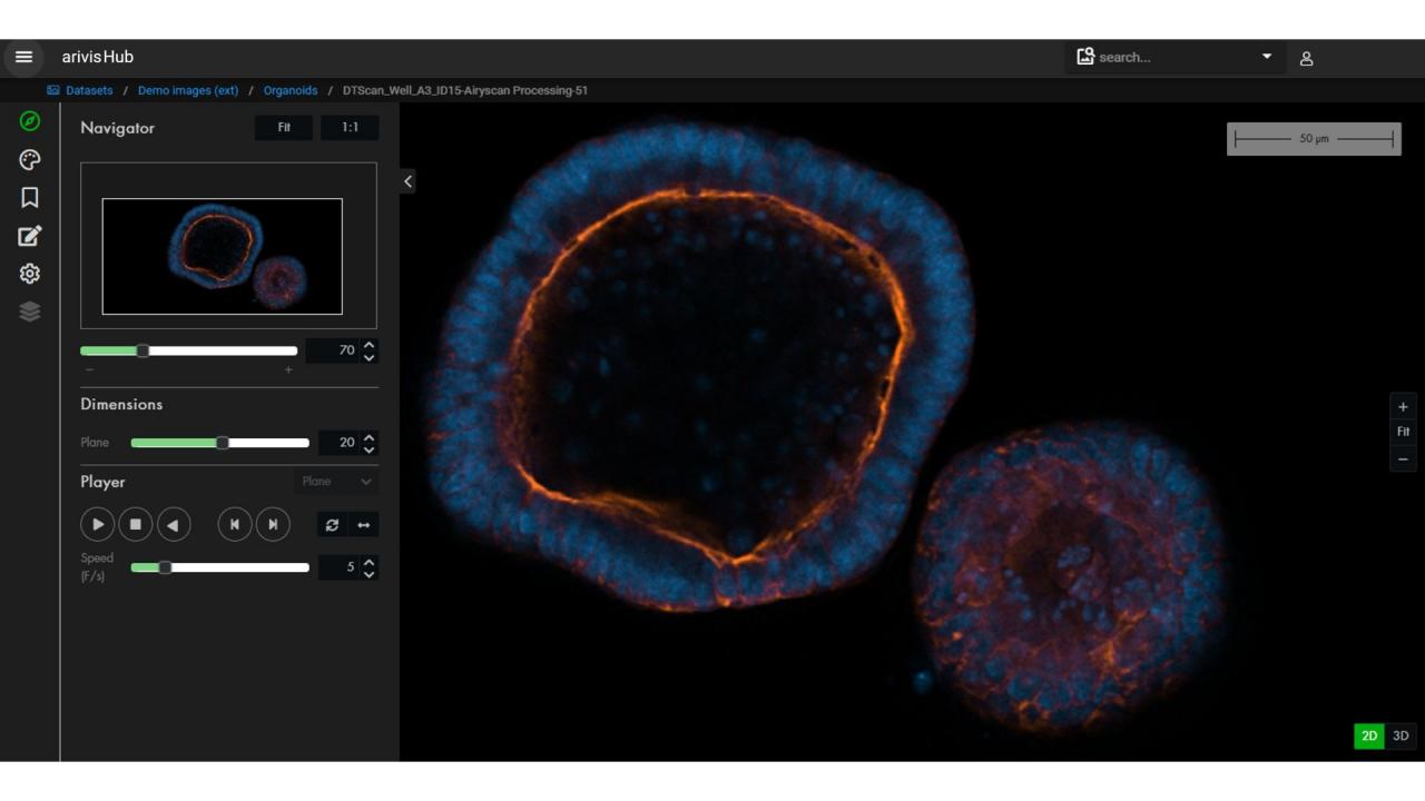 Scalable Image Analysis for Biotech and Pharma | ZEISS