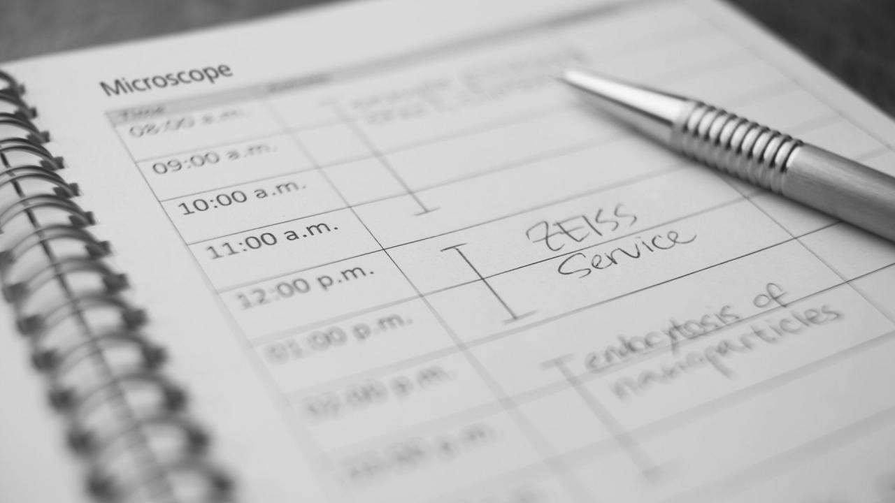 Transparent Installation Process for your ZEISS Microscope