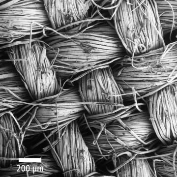 ZEISS C-SEM Upgrades