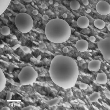 ZEISS C-SEM Upgrades