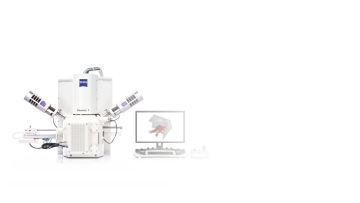 ZEISS FE-SEM Upgrades