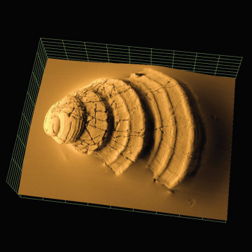 ZEISS FE-SEM Upgrades
