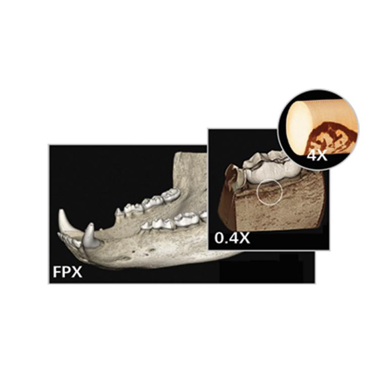 ZEISS Xradia Versa Upgrades